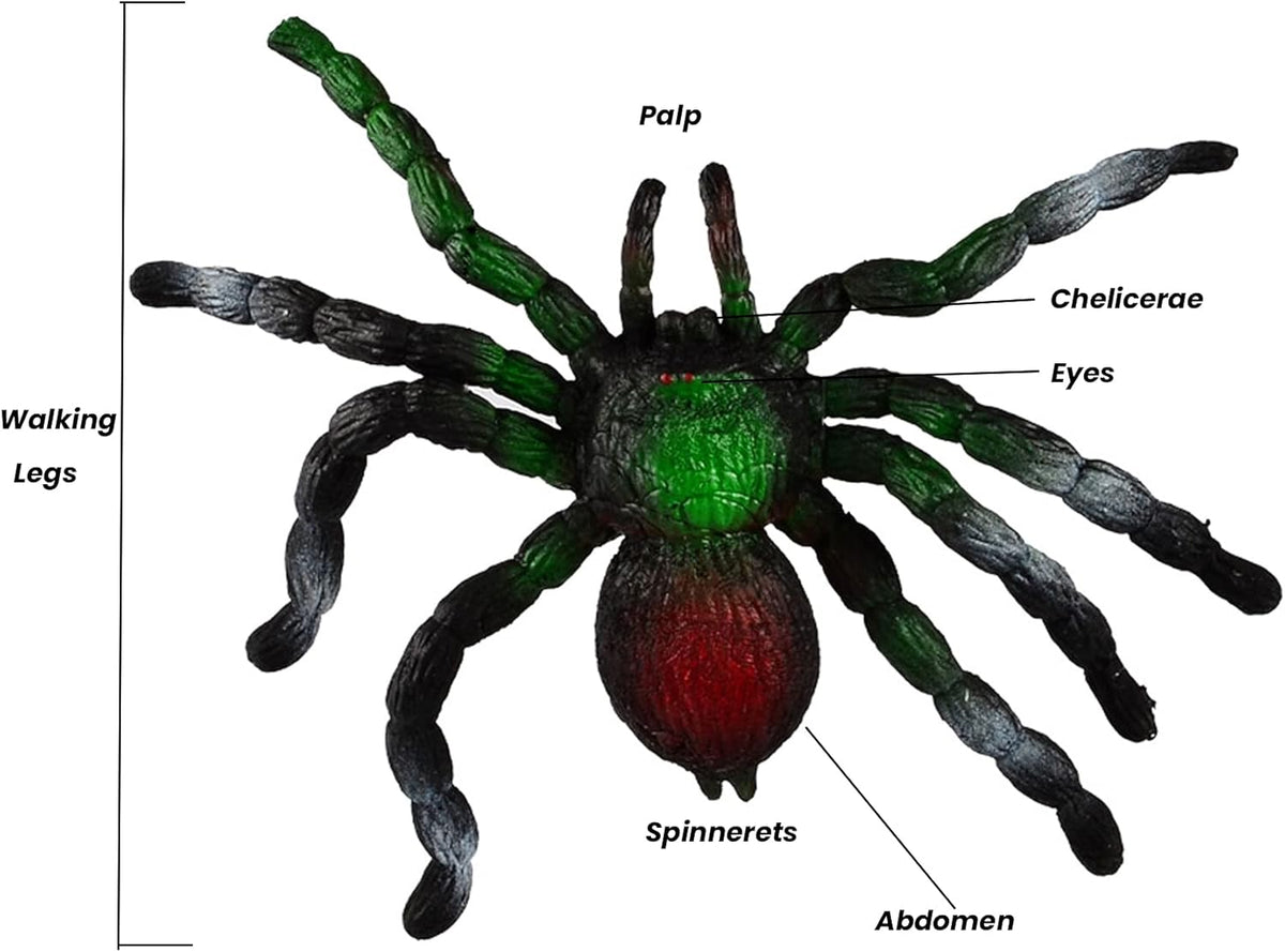 BOHS Jiggly Spider Mom and Spiderlings - Stretch & Squeeze - 4-Piece R ...
